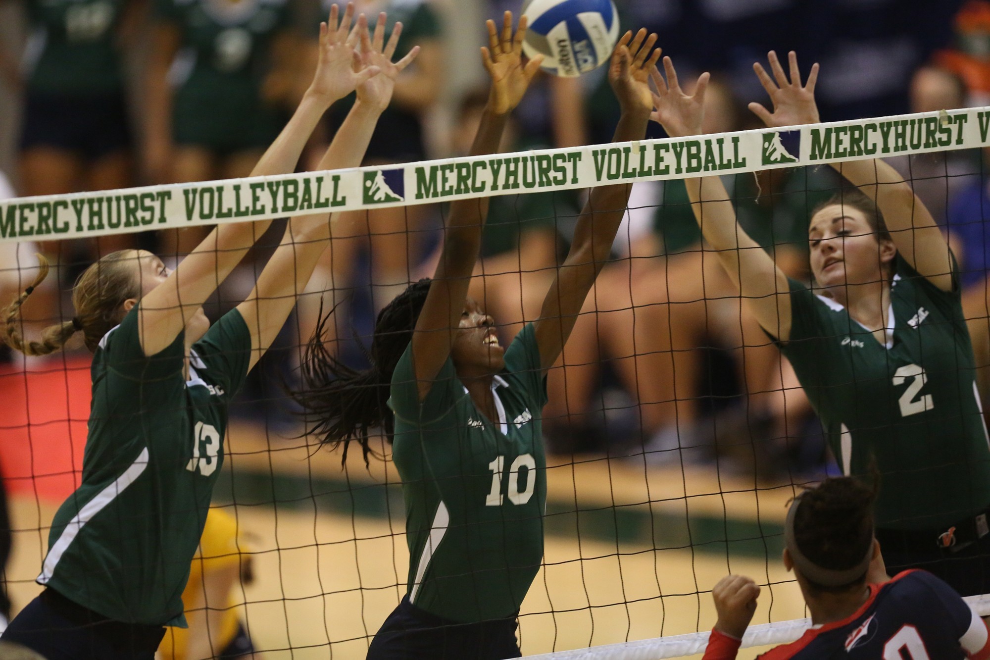 Alyssa Zirnheld - 2019 - Women's Volleyball - Mercyhurst University ...