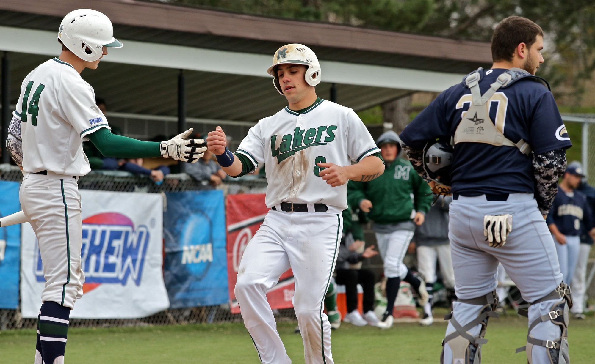 Jimmy Latona - 2017 - Baseball - Mercyhurst University Athletics