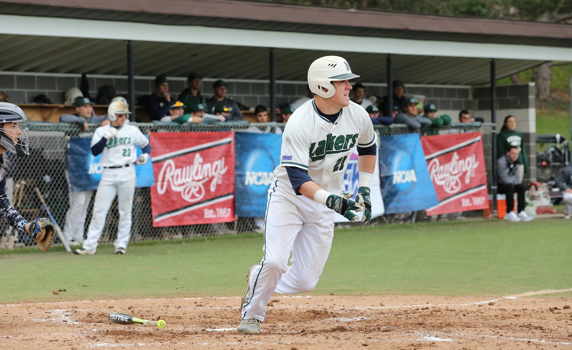Daniel Elliott - 2018 - Baseball - Mercyhurst University Athletics