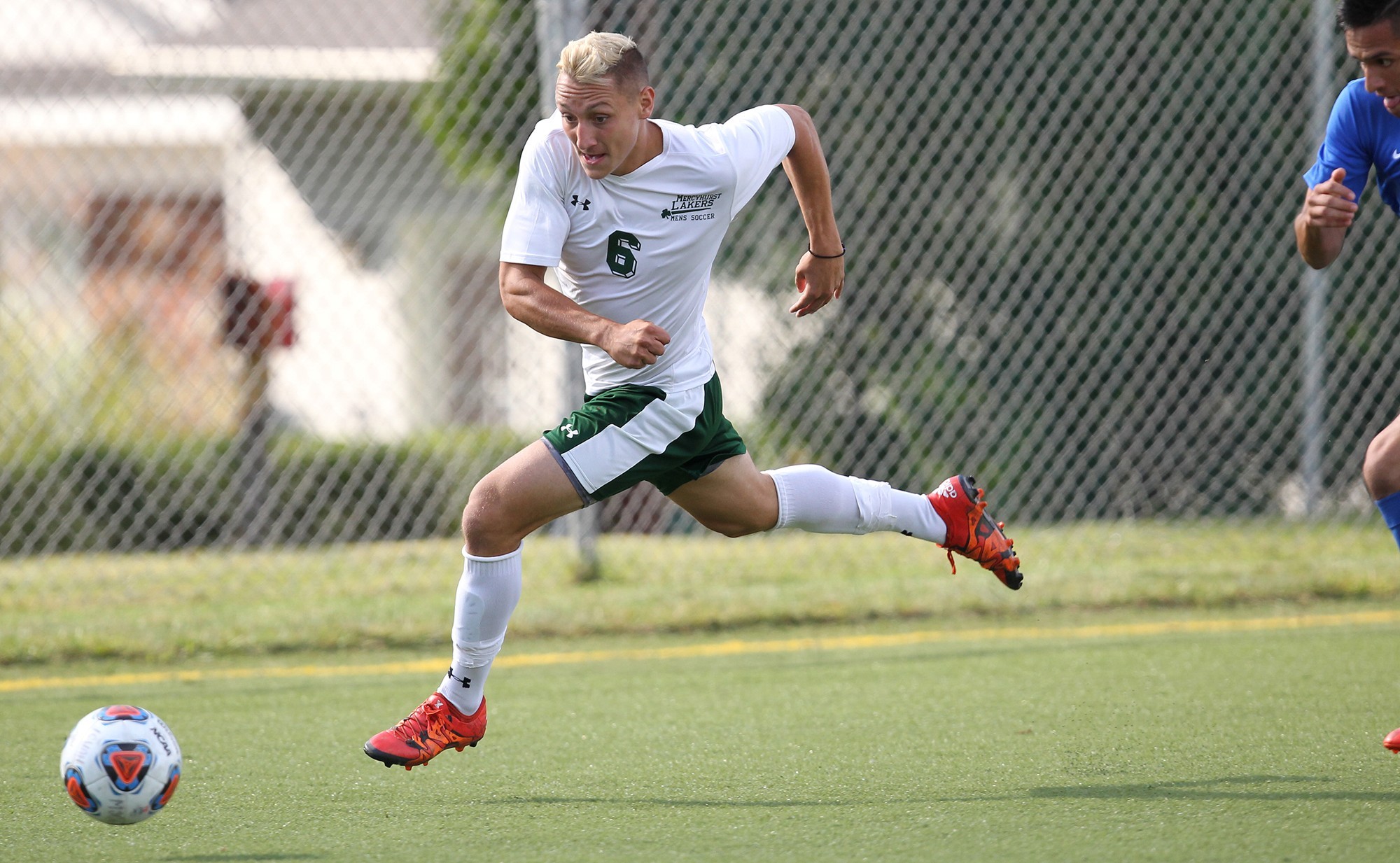 Michael Dirienzo - 2016 - Men's Soccer - Mercyhurst University Athletics