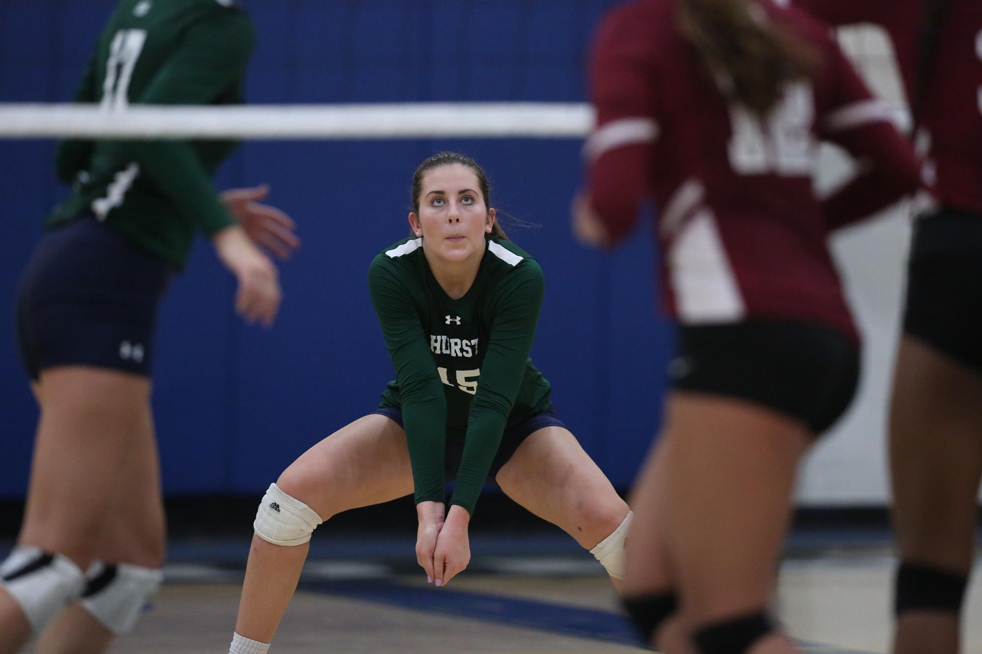 Katie Baird - 2019 - Women's Volleyball - Mercyhurst University Athletics