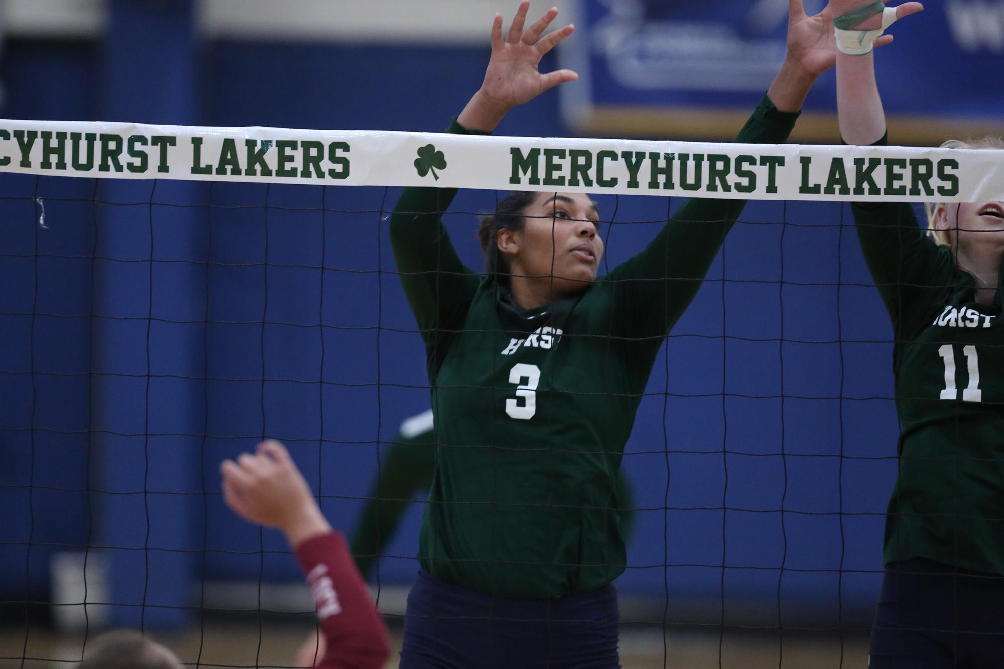 Shelby Chesko - 2018 - Women's Volleyball - Mercyhurst University Athletics