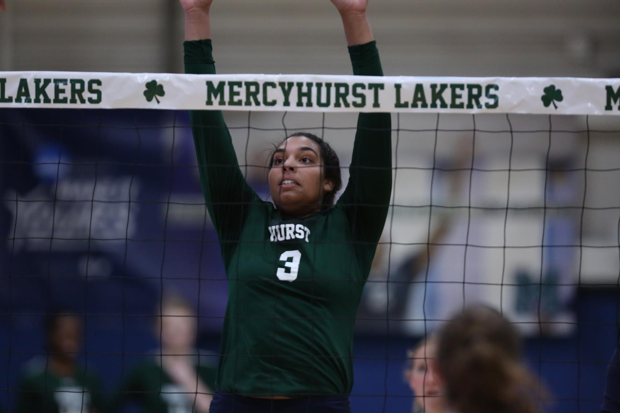 Shelby Chesko - 2018 - Women's Volleyball - Mercyhurst University Athletics