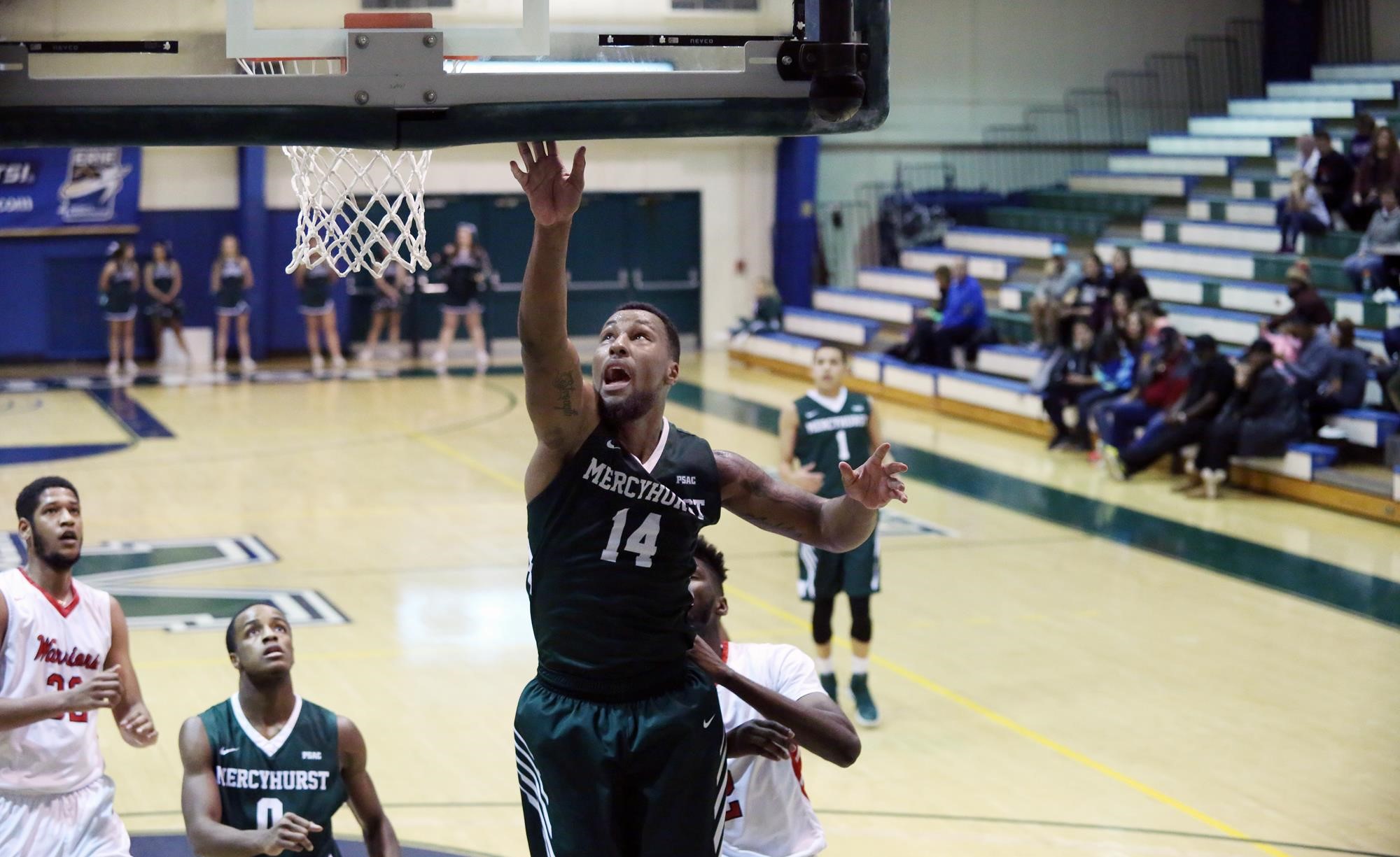 John Majors - 2016-2017 - Men's Basketball - Mercyhurst University ...