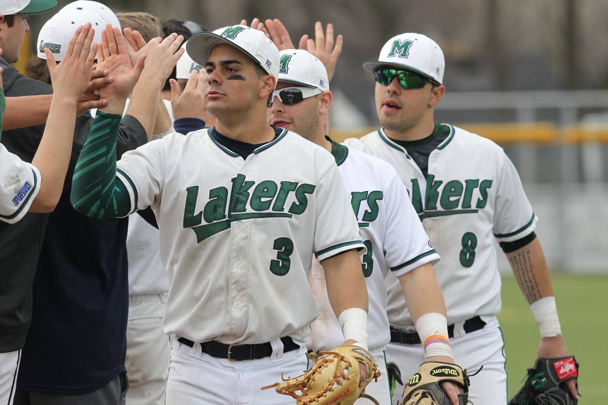 Chris Gonzalez - 2017 - Baseball - Mercyhurst University Athletics