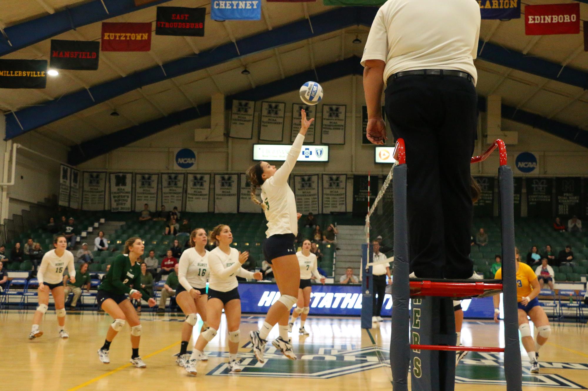 Tess Ganich - 2019 - Women's Volleyball - Mercyhurst University Athletics