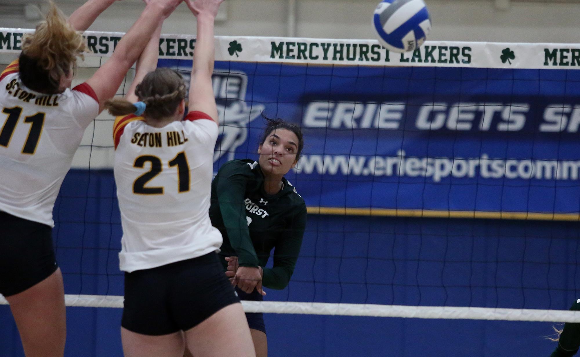 Shelby Chesko - 2018 - Women's Volleyball - Mercyhurst University Athletics