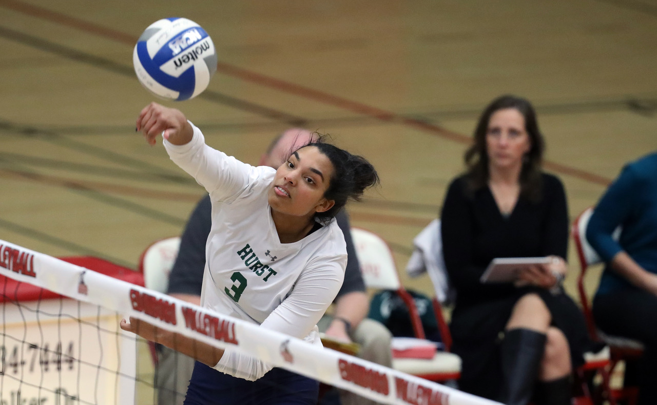 Shelby Chesko - 2018 - Women's Volleyball - Mercyhurst University Athletics