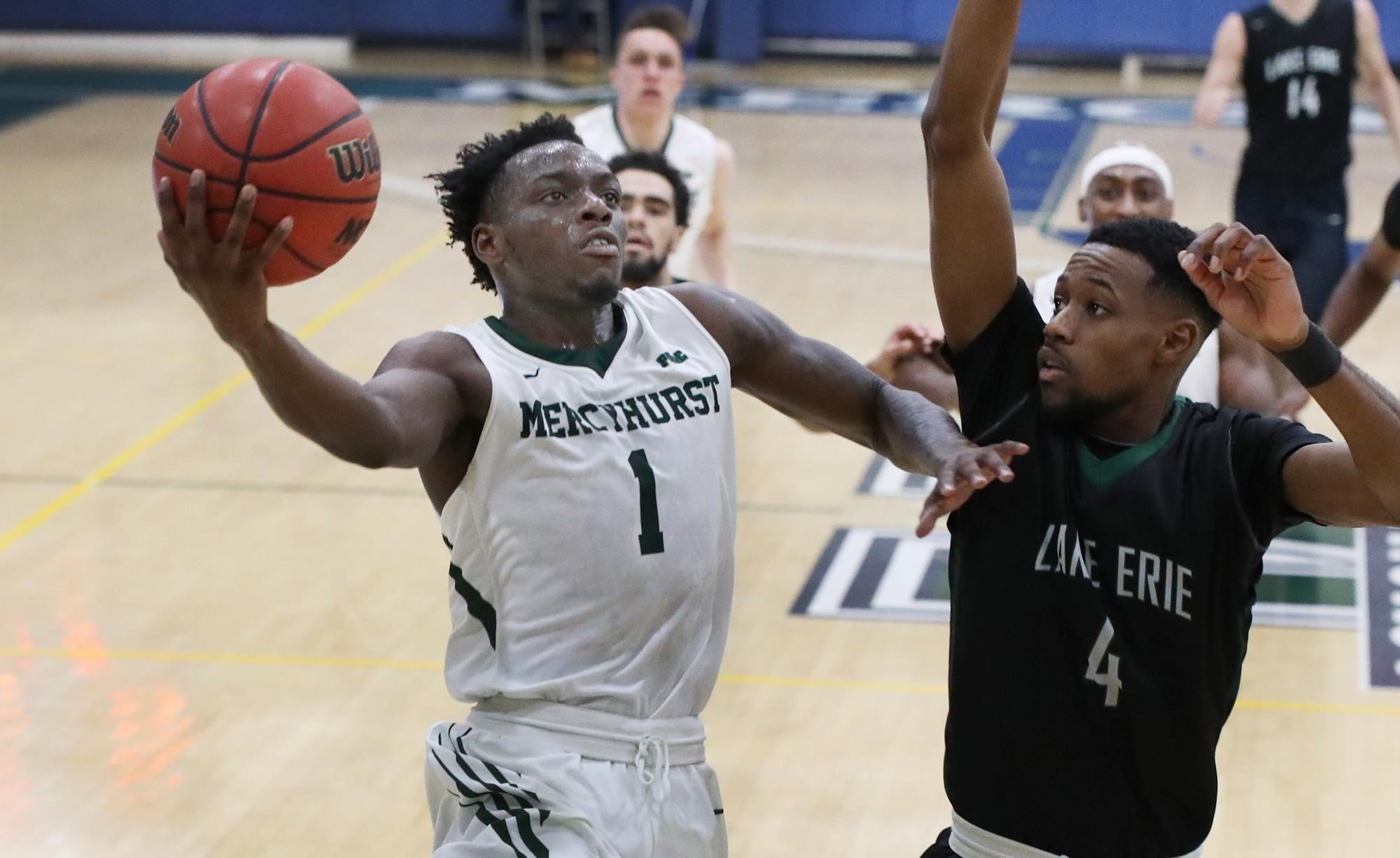 Derrick Ellis Jr. - 2018-2019 - Men's Basketball - Mercyhurst ...