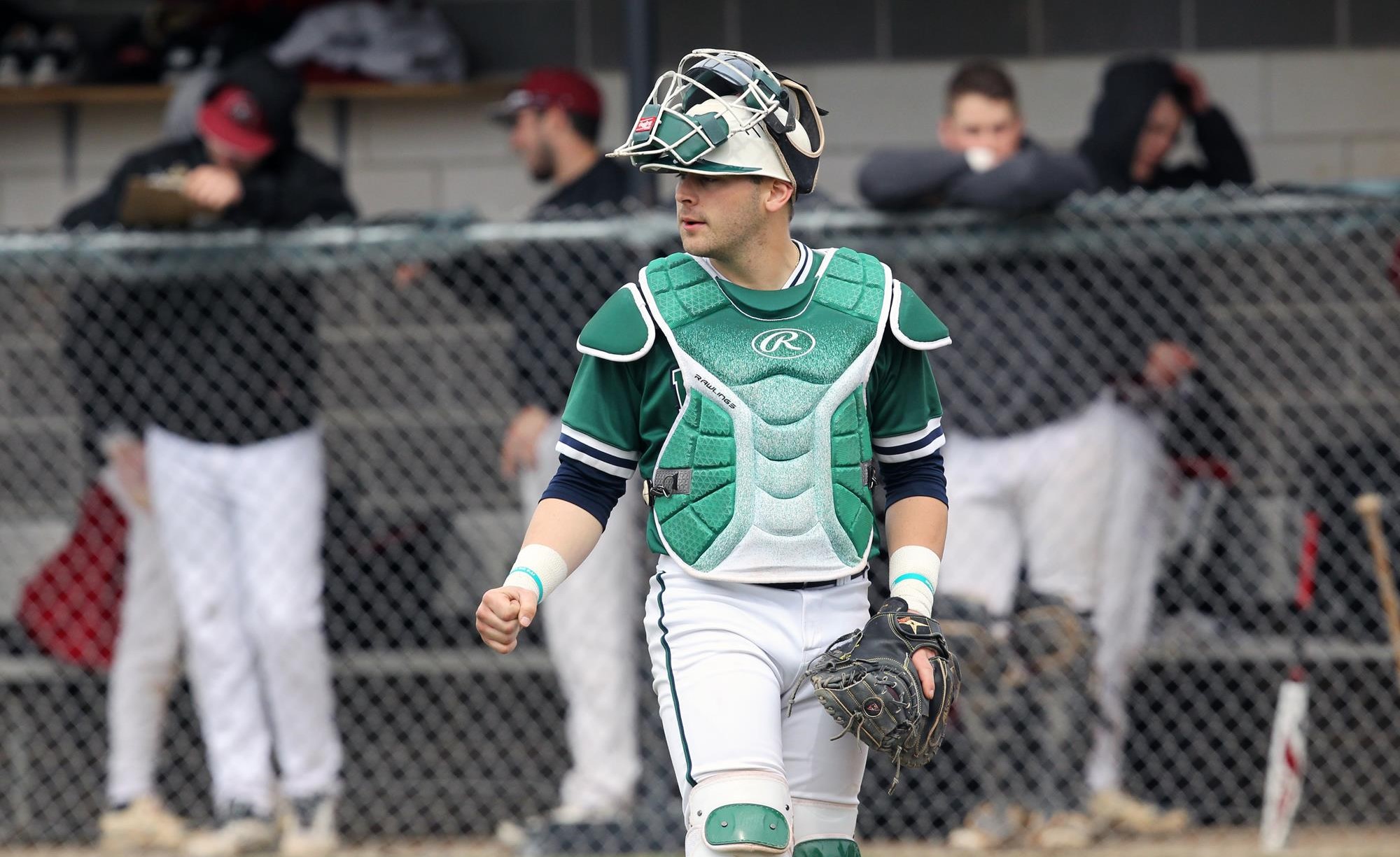 Drew Delsignore - 2018 - Baseball - Mercyhurst University Athletics