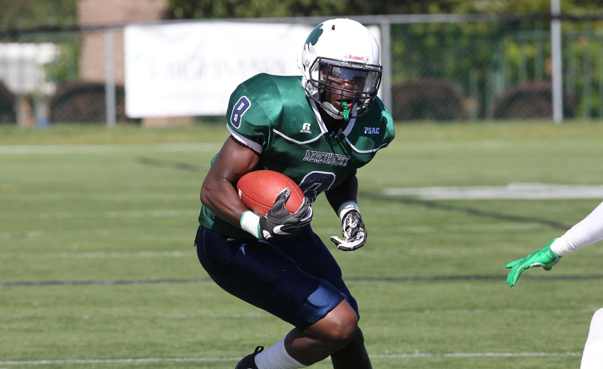 Austin Hence - 2019 - Football - Mercyhurst University Athletics