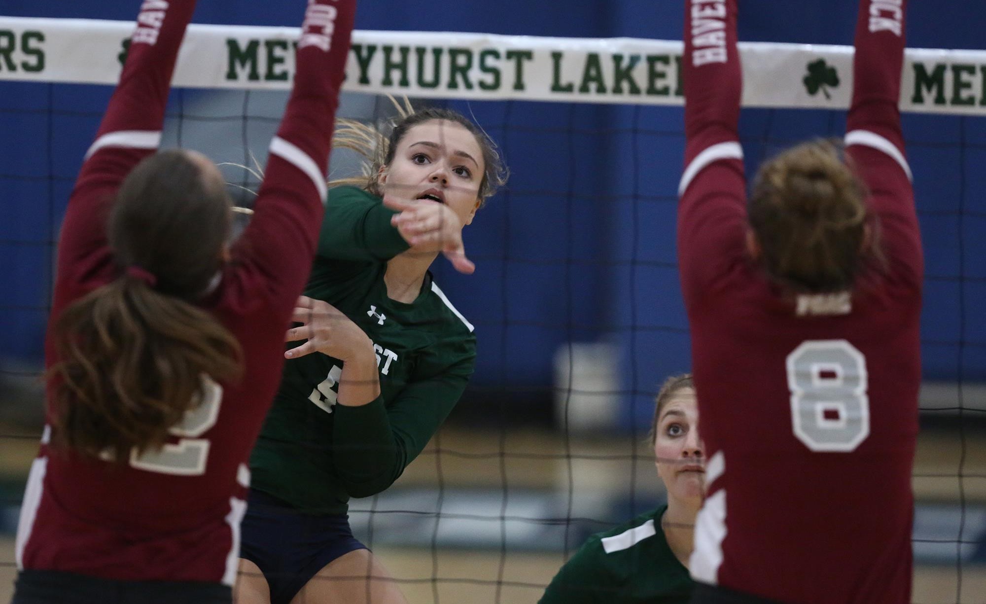 Tess Ganich - 2019 - Women's Volleyball - Mercyhurst University Athletics