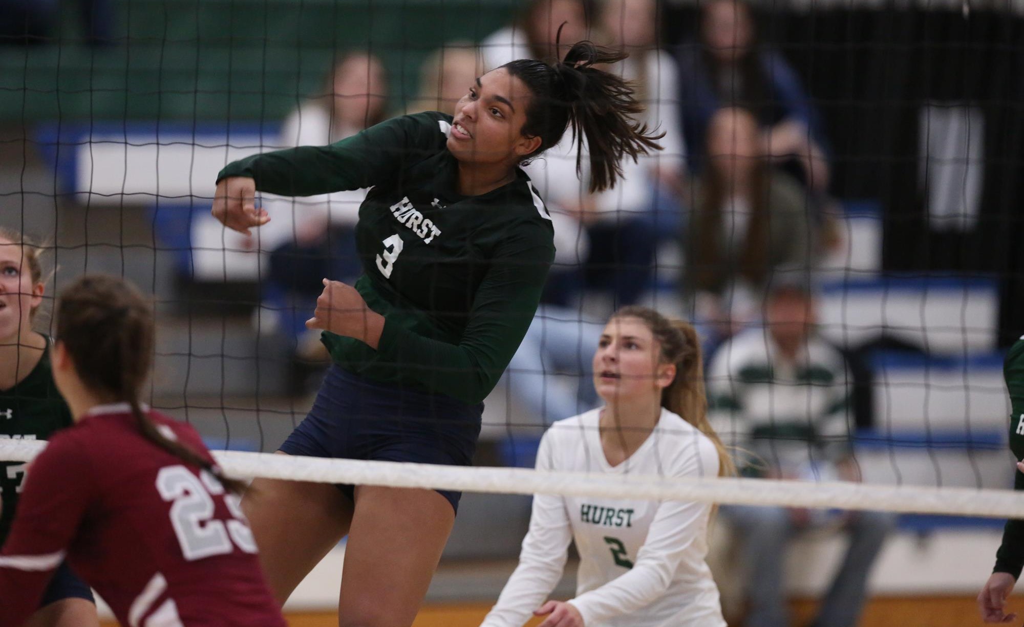 Shelby Chesko - 2018 - Women's Volleyball - Mercyhurst University Athletics