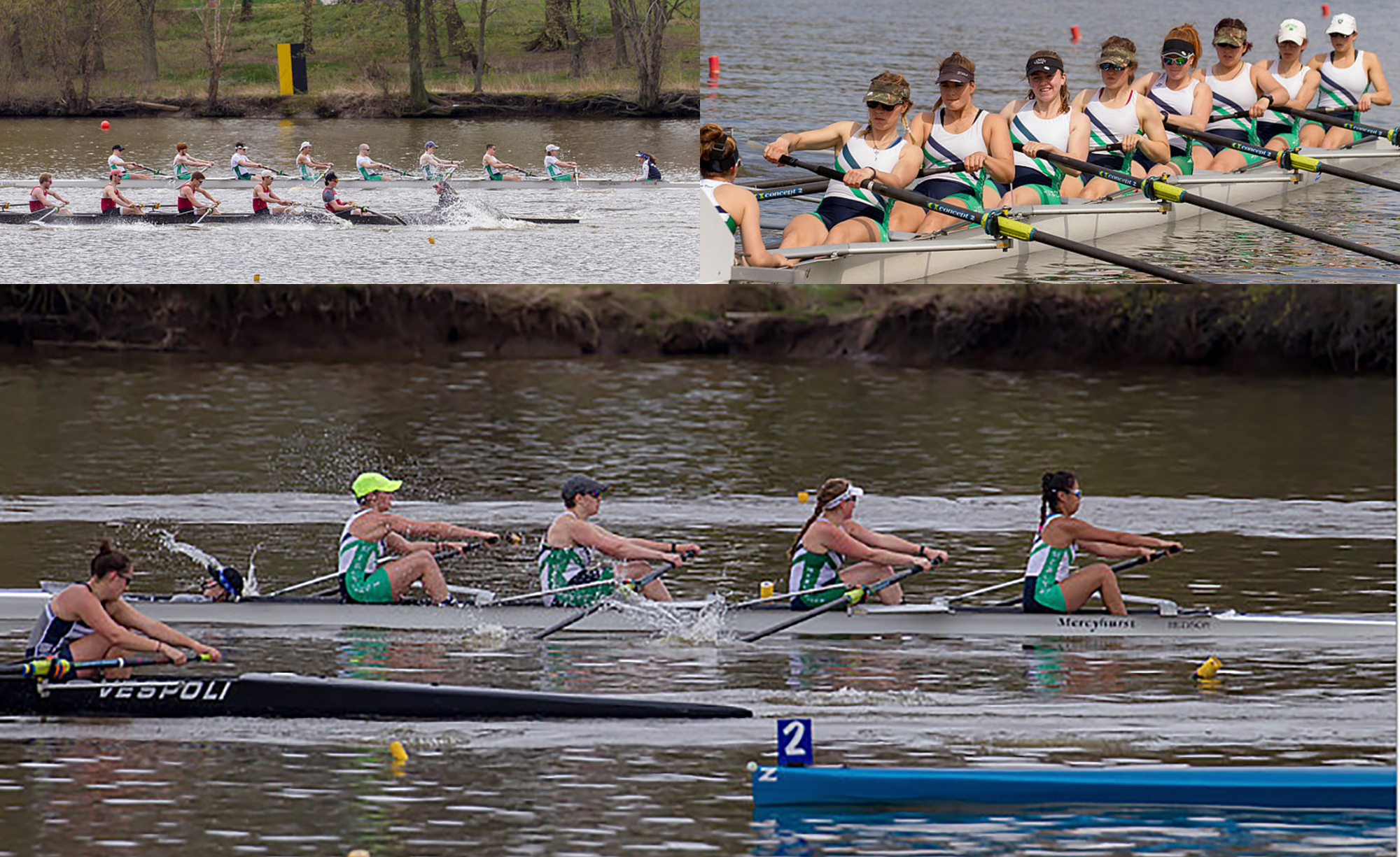 Rowing Defeats RIT - Mercyhurst University Athletics