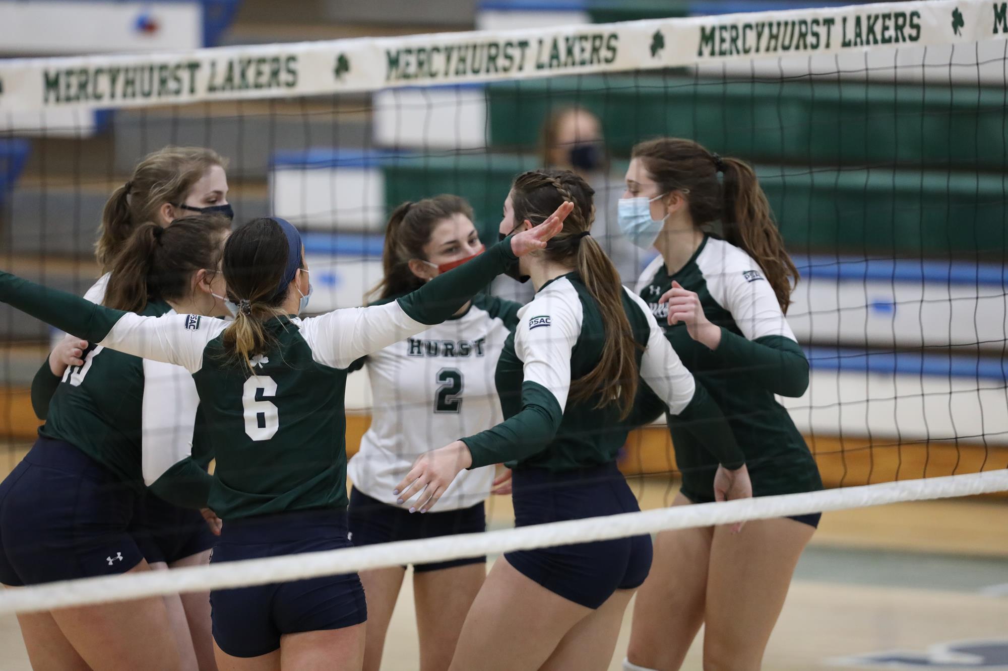 Volleyball Set to Begin Play at Unveiling of Newly Renovated Mercyhurst ...