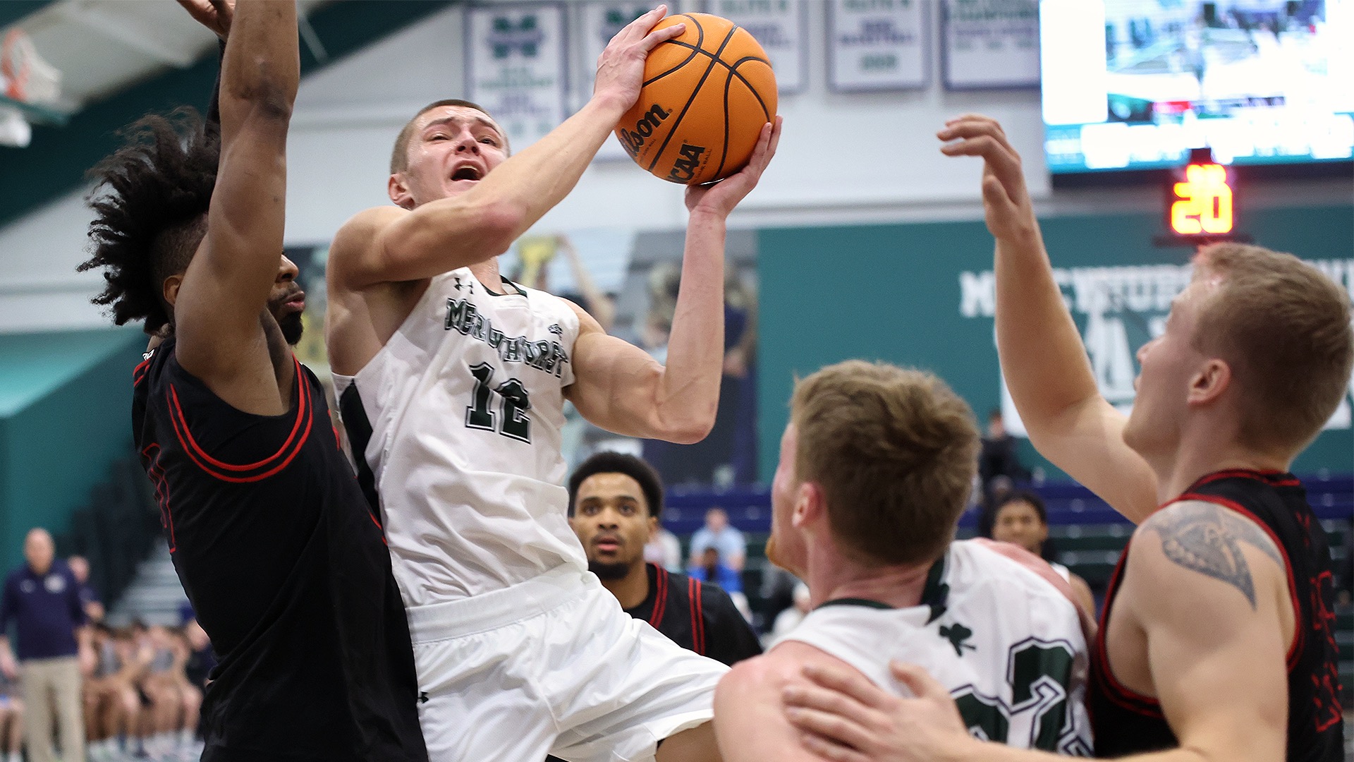 Nicholas Lang - 2022-23 - Men's Basketball - Mercyhurst University ...