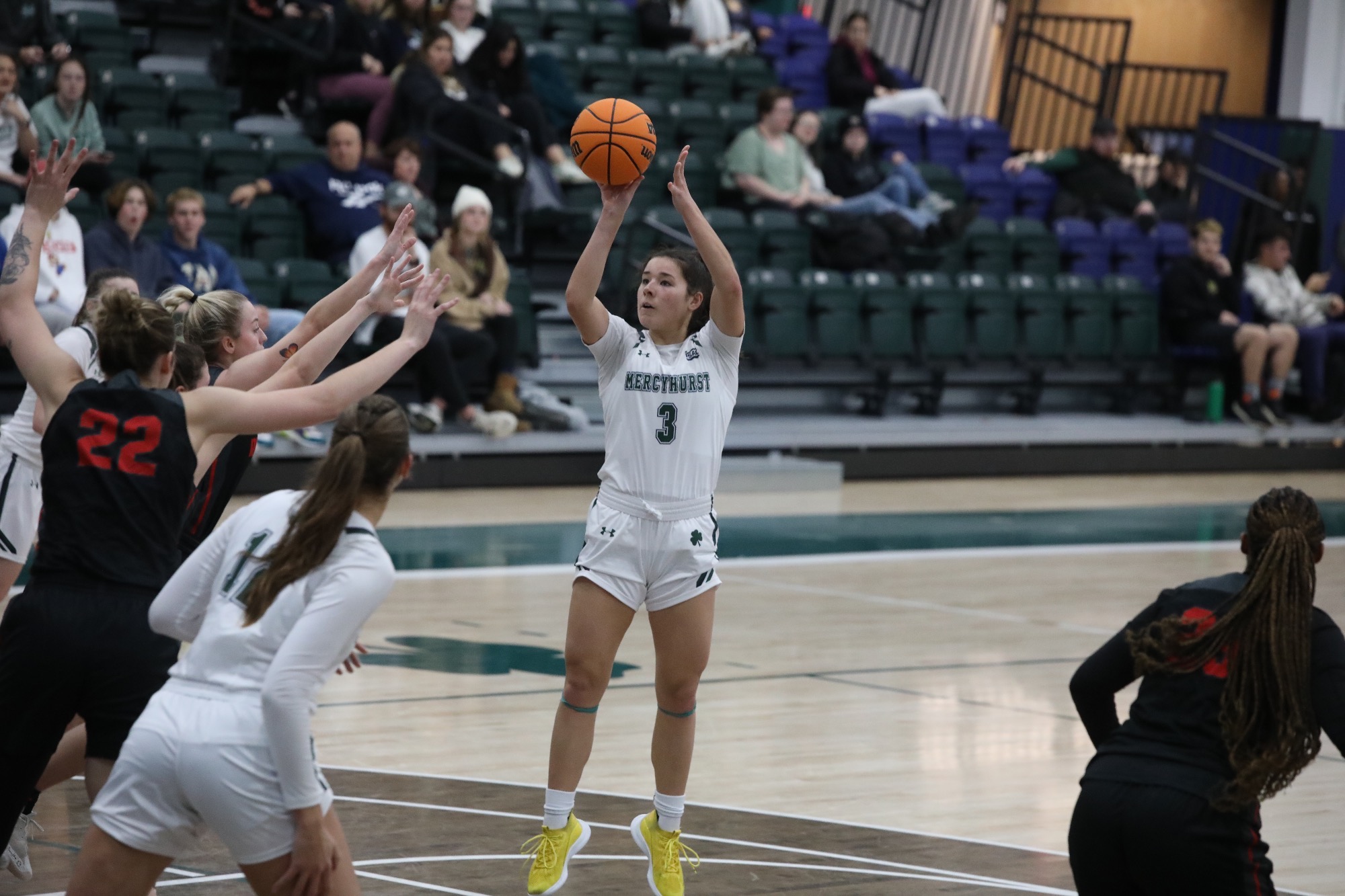 Danielle Grim - 2023-24 - Women's Basketball - Mercyhurst University ...