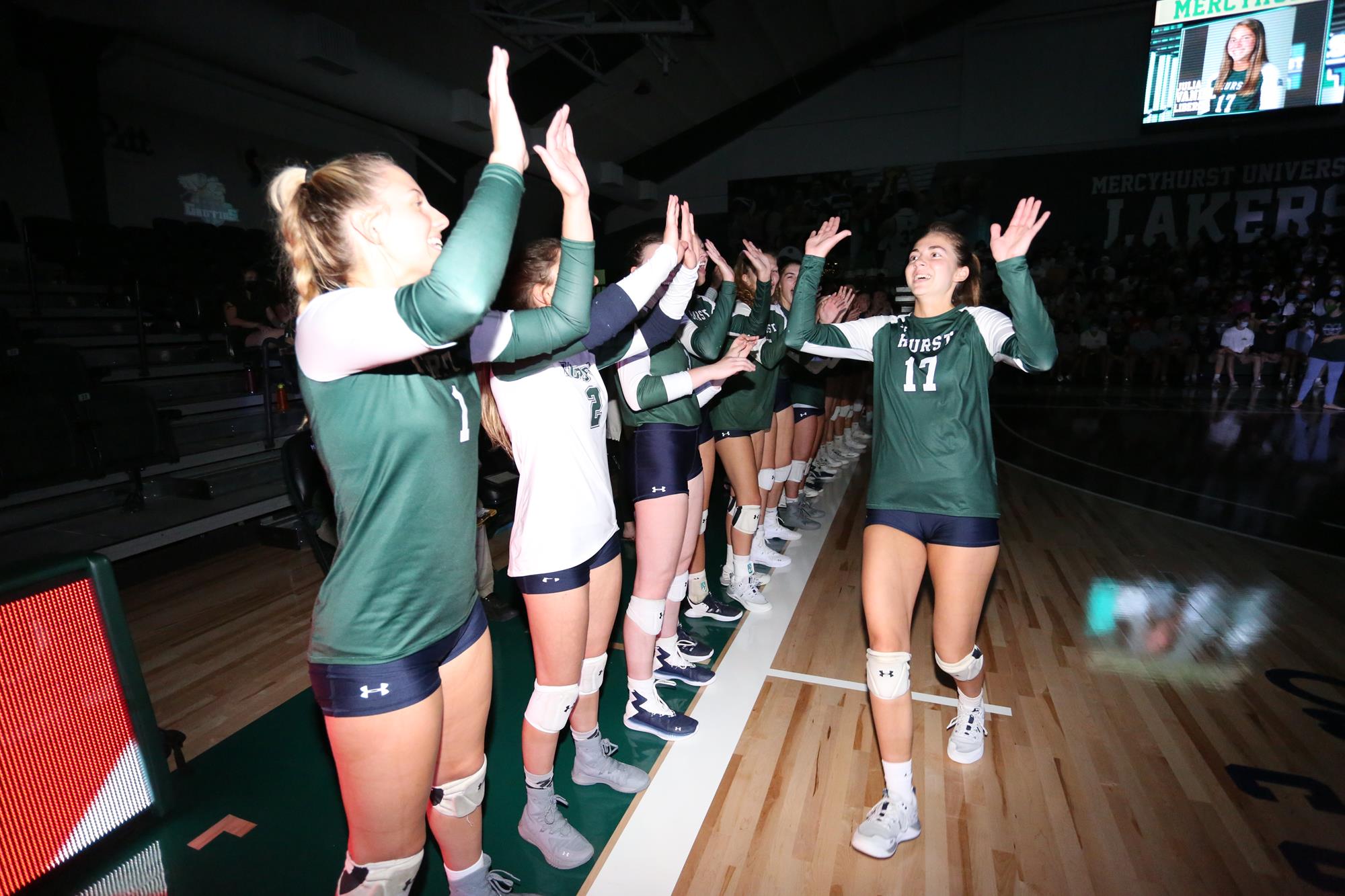 Julia Vanill - 2021 - Women's Volleyball - Mercyhurst University Athletics