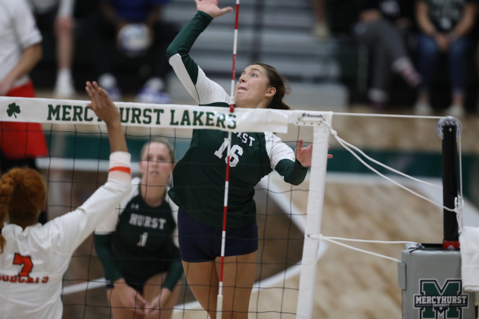 Corinne Bechtold - 2023 - Women's Volleyball - Mercyhurst University ...