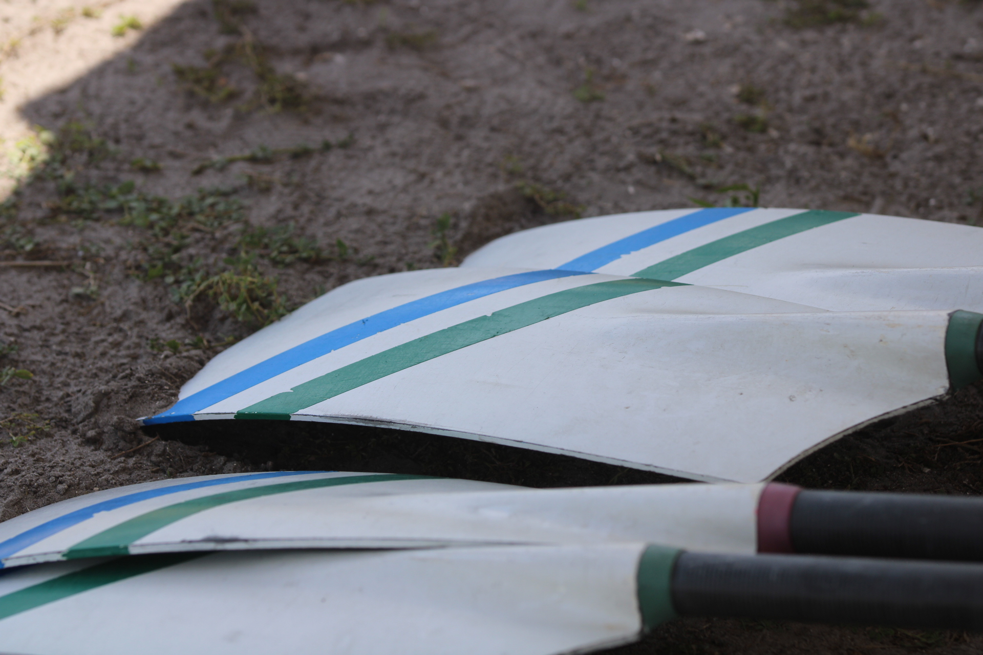 Men’s Rowing Prepares for Head of the Charles - Mercyhurst University ...