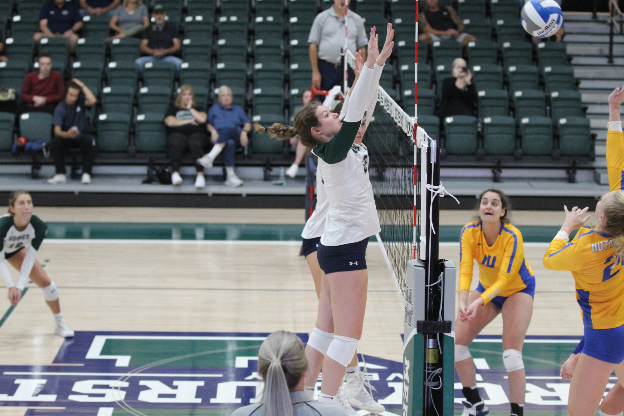 Volleyball Drops Opening Games Of Weekend Tournament - Mercyhurst ...