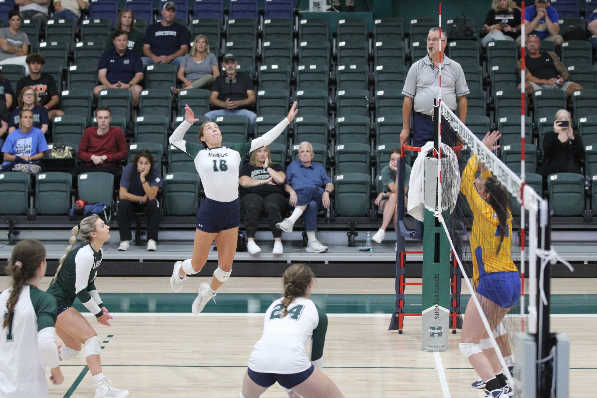 Volleyball Falls to Daemen in Holiday Weekend Finale - Mercyhurst ...