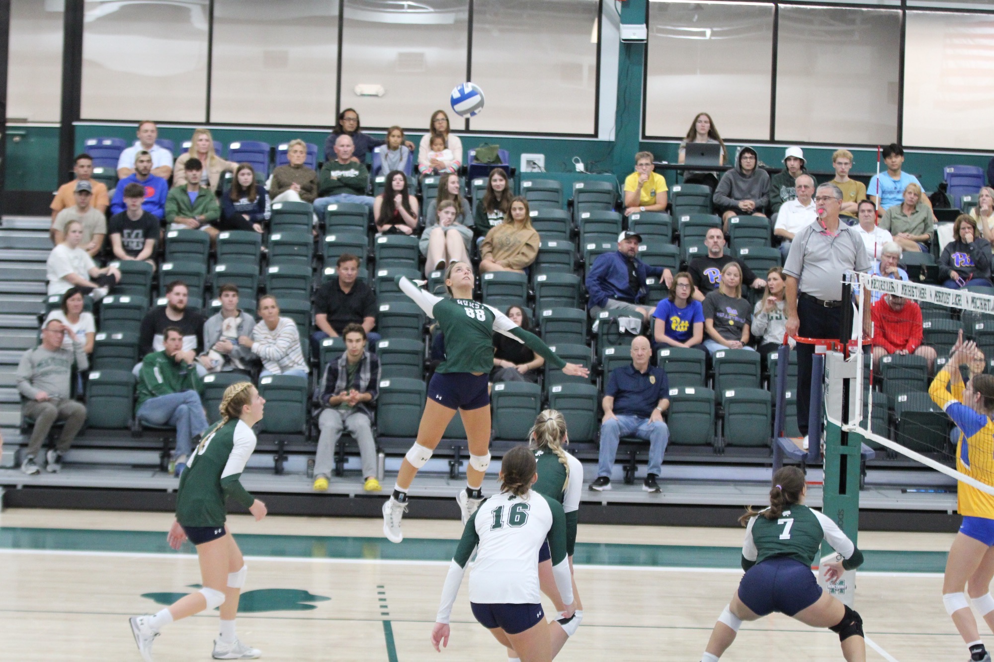 Volleyball Drops Matchup with Gannon - Mercyhurst University Athletics