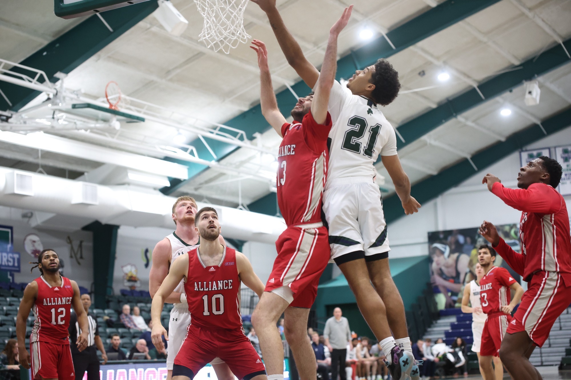 Luke Triggs - 2023-24 - Men's Basketball - Mercyhurst University Athletics