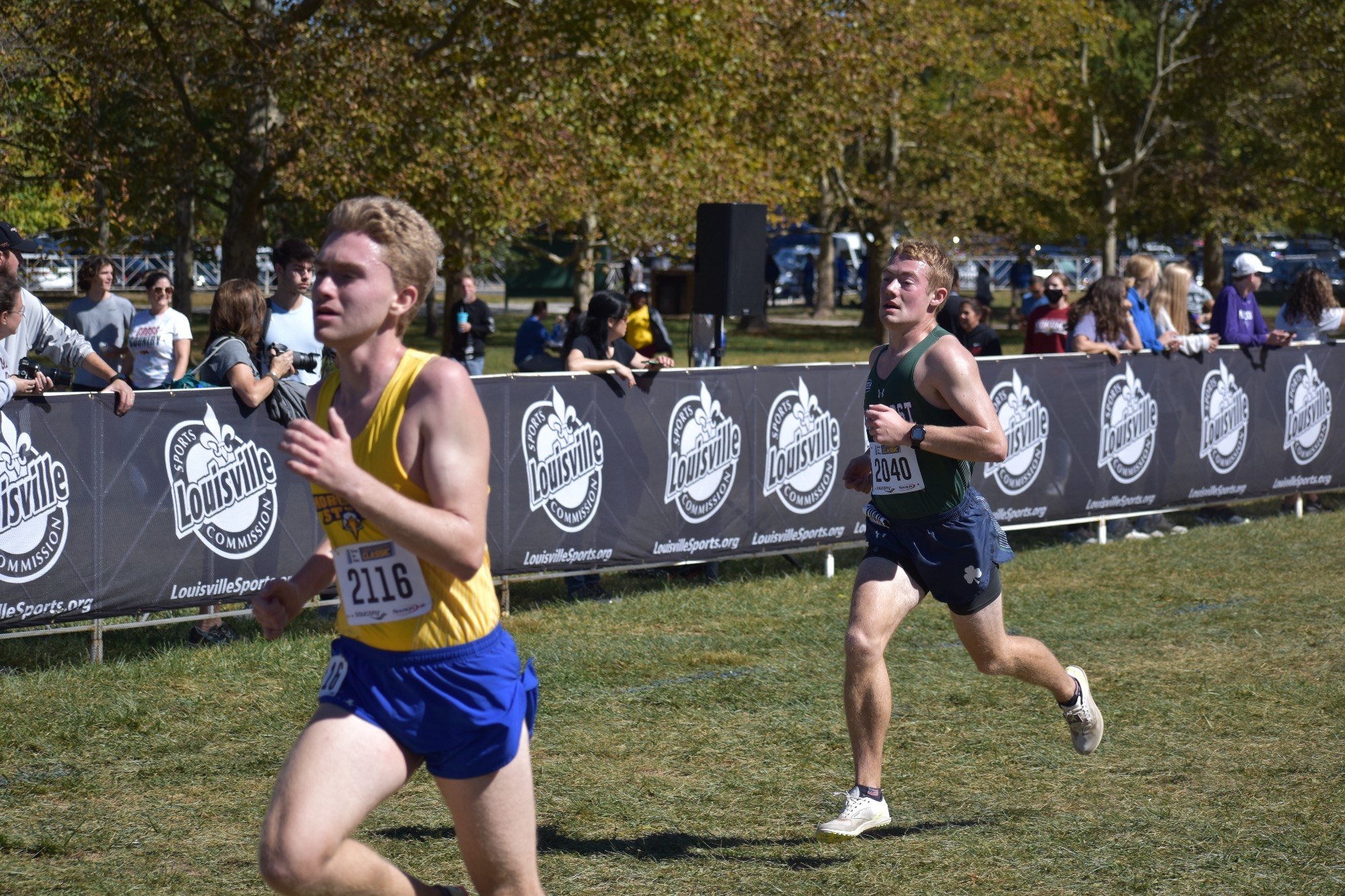 Ryan Cawley - 2022 - Men's Cross Country - Mercyhurst University Athletics