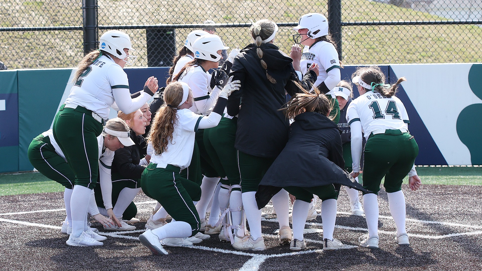 Softball Splits with Gannon - Mercyhurst University Athletics