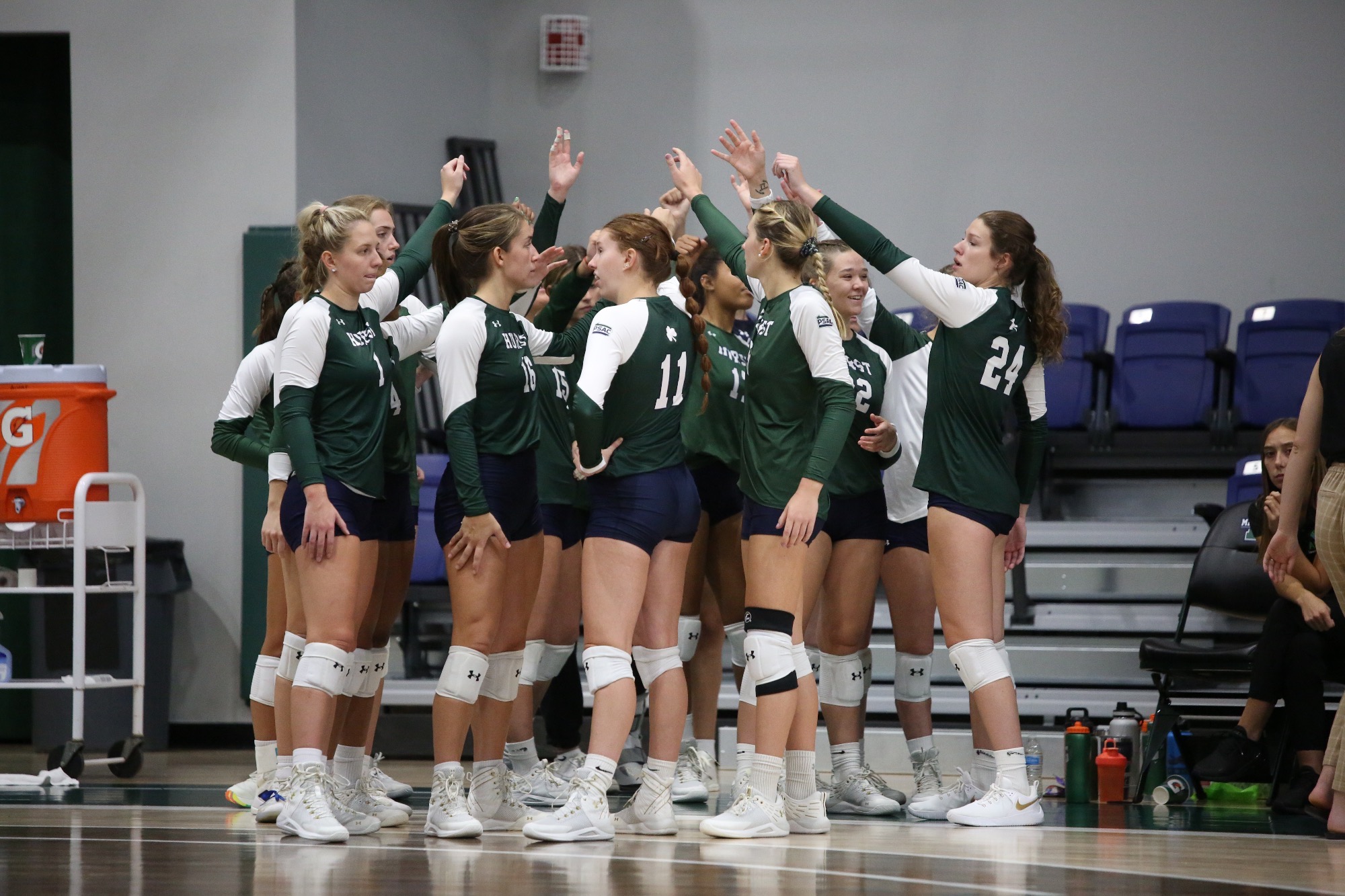 Volleyball Drops First Two Matchups of the Season - Mercyhurst ...
