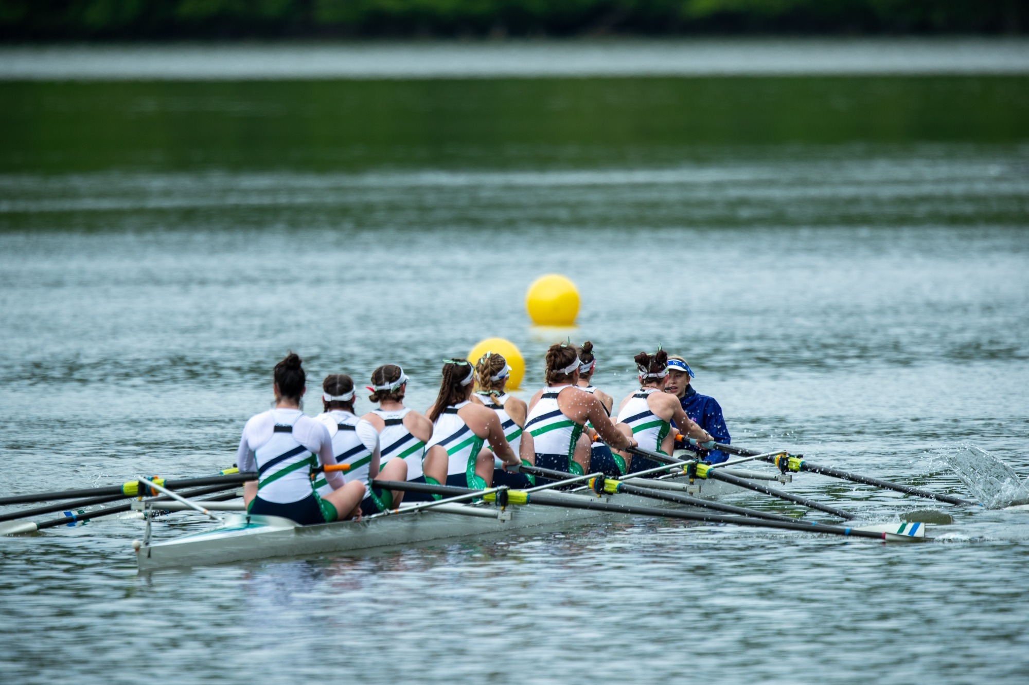 Christopher Luff Appointed as Newest Member of Rowing Staff ...