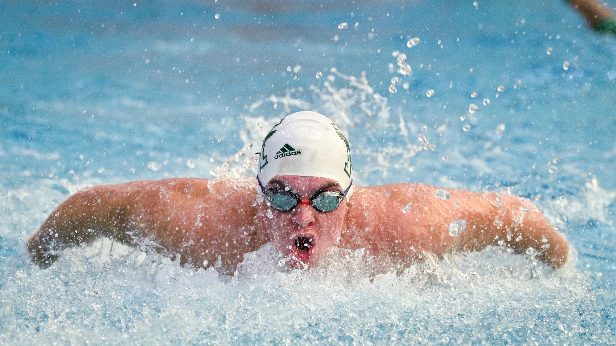 Alex Walsh - 2024-25 - Men's Swimming & Diving - Husson University