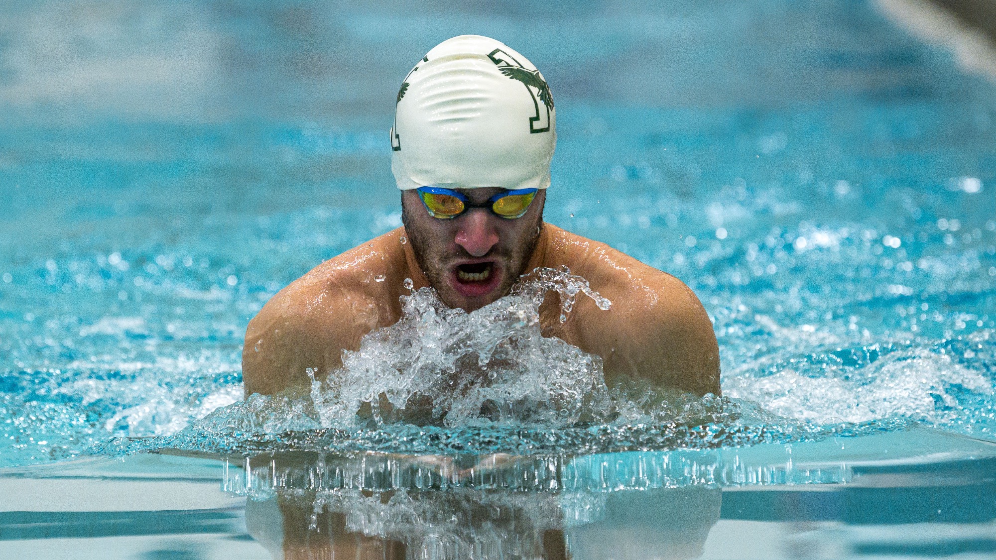 Ben Carusi - 2023-24 - Men's Swimming & Diving - Husson University