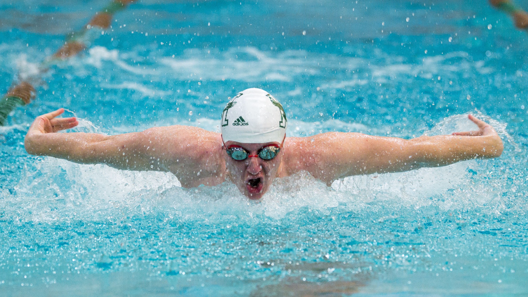 Steven Johnston - 2022-23 - Men's Swimming & Diving - Husson University