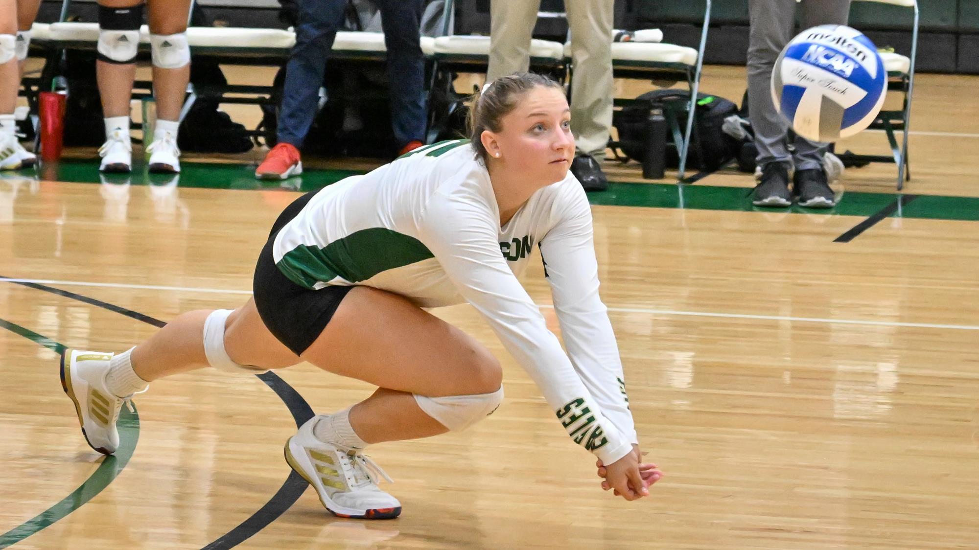 Cheyenne Young - 2023 - Women's Volleyball - Husson University