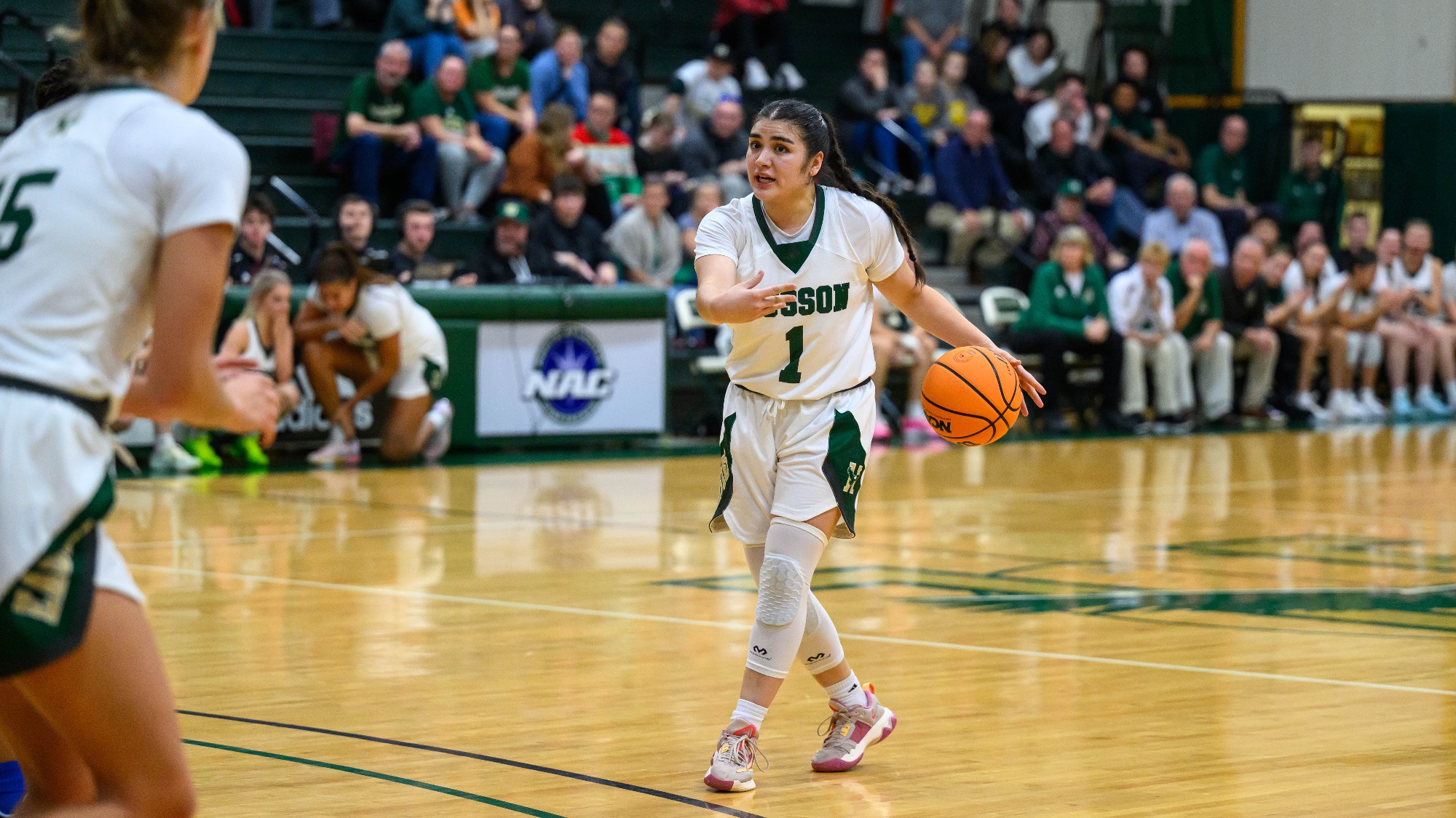 Sofia Torres-Reyes - 2023-24 - Women's Basketball - Husson University