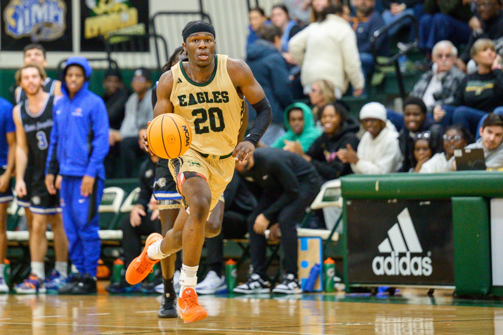 Walston named NAC defensive player of the week - Husson University