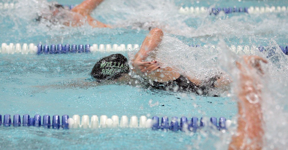 Kelsey Bohl - 2016-17 - William Smith Swimming and Diving - Hobart and ...