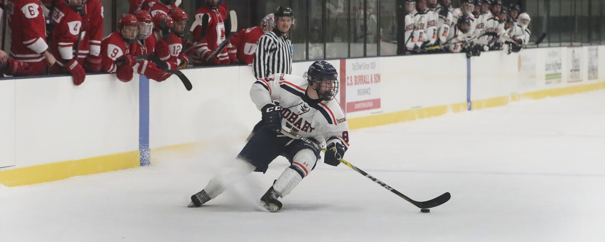 Jordan Haskell - 2017-18 - Hobart Ice Hockey - Hobart and William Smith ...