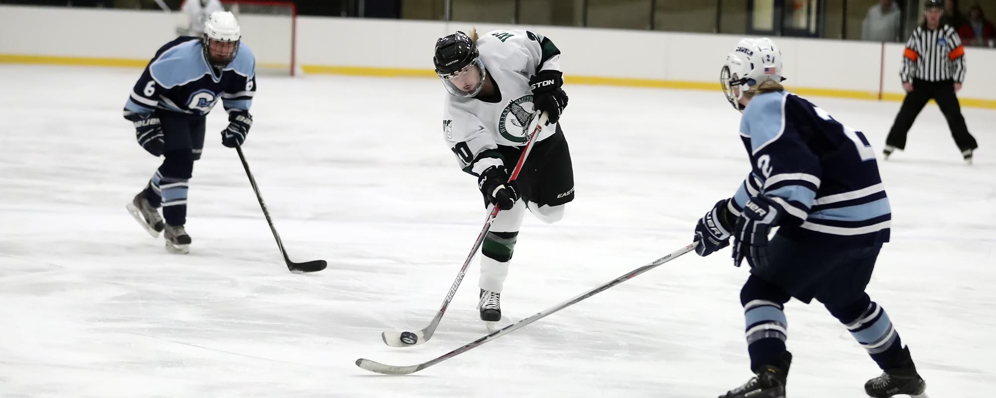 Taylor Morash - 2017-18 - William Smith Ice Hockey - Hobart and William ...