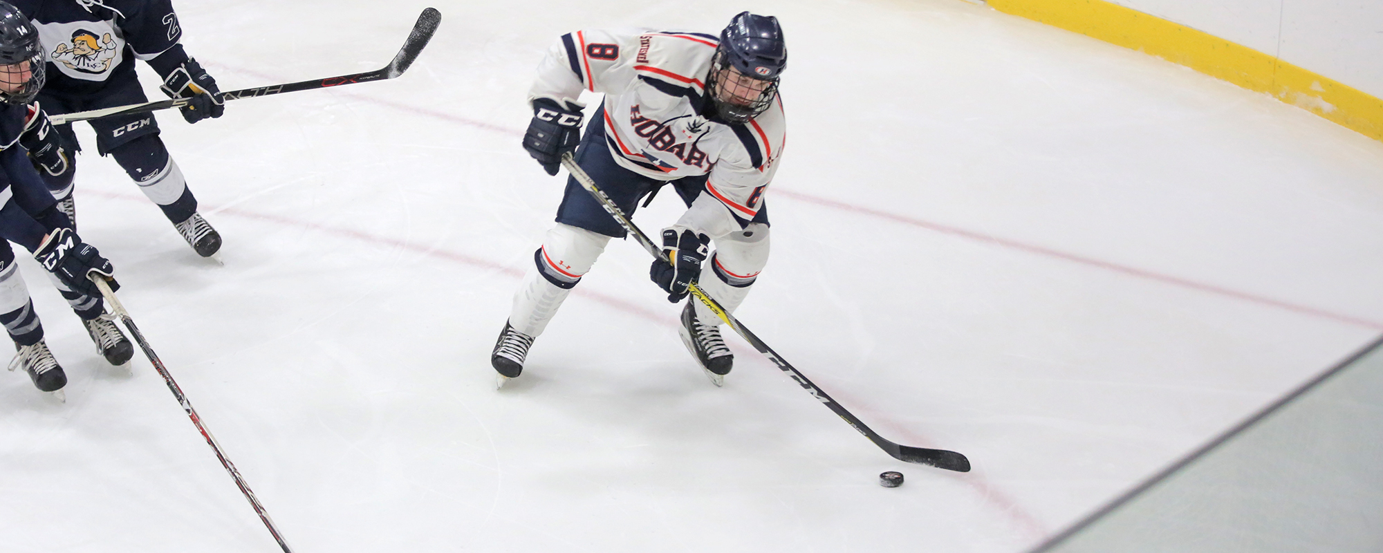Jordan Haskell - 2017-18 - Hobart Ice Hockey - Hobart and William Smith ...