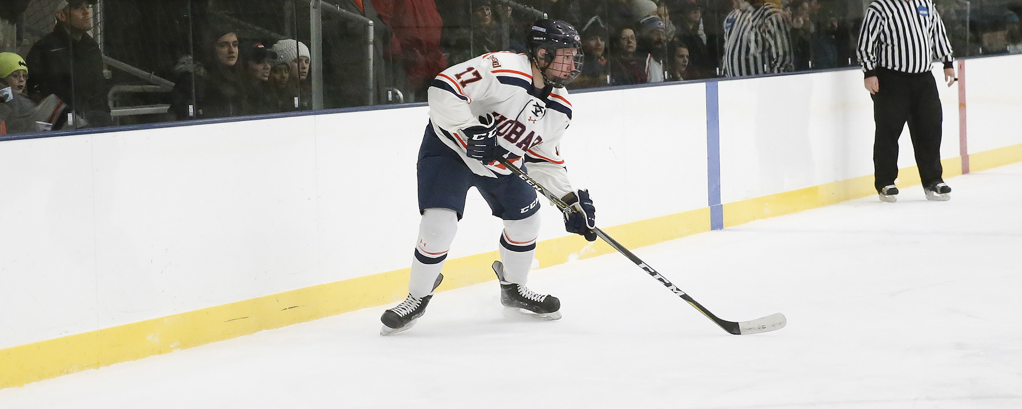 Alec Robitaille - 2020-21 - Hobart Ice Hockey - Hobart and William ...