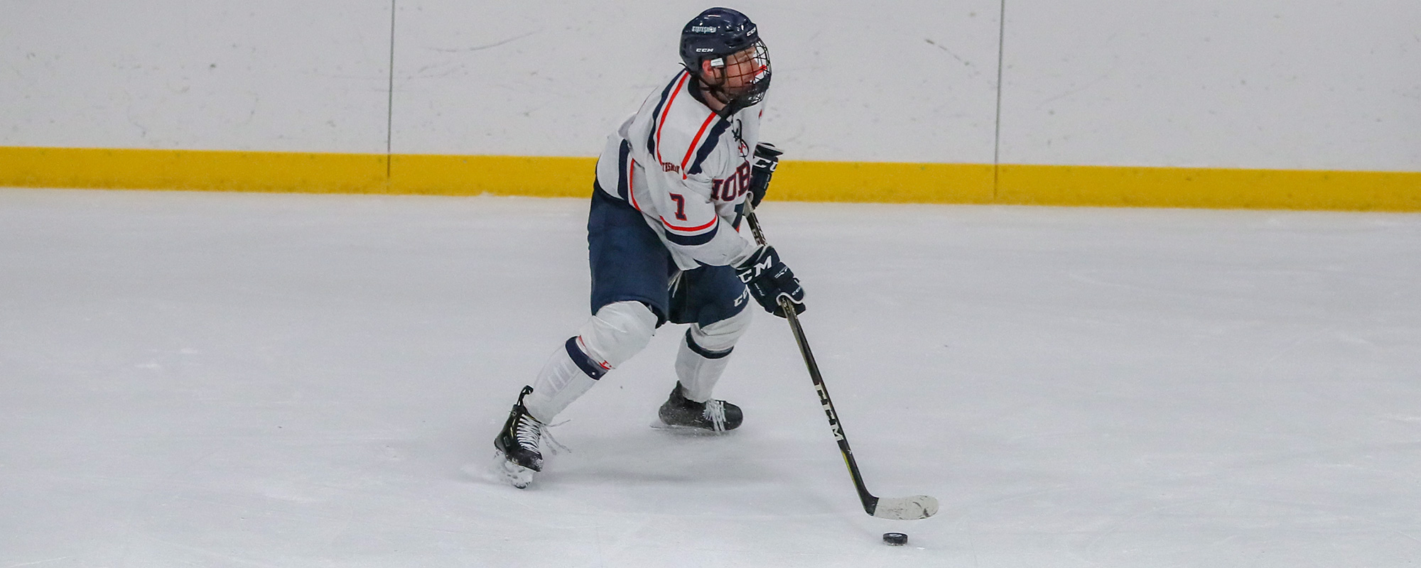 Tanner Shaw - 2018-19 - Hobart Ice Hockey - Hobart and William Smith ...