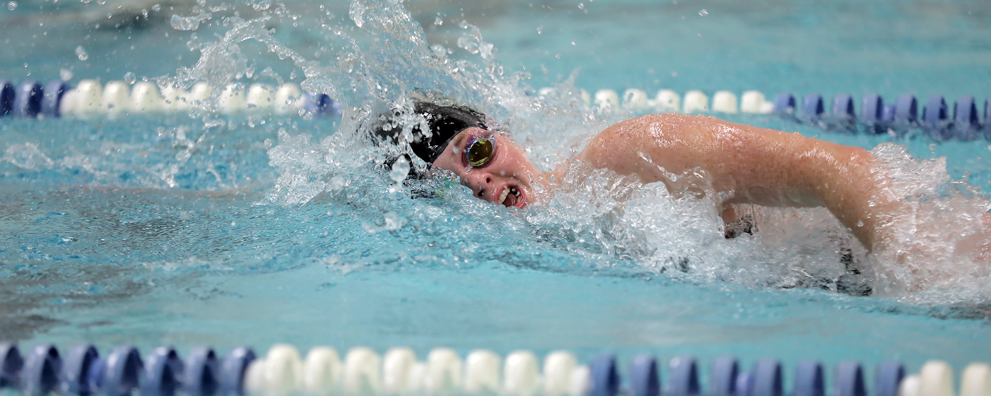 Molly Egan - 2018-19 - William Smith Swimming and Diving - Hobart and ...