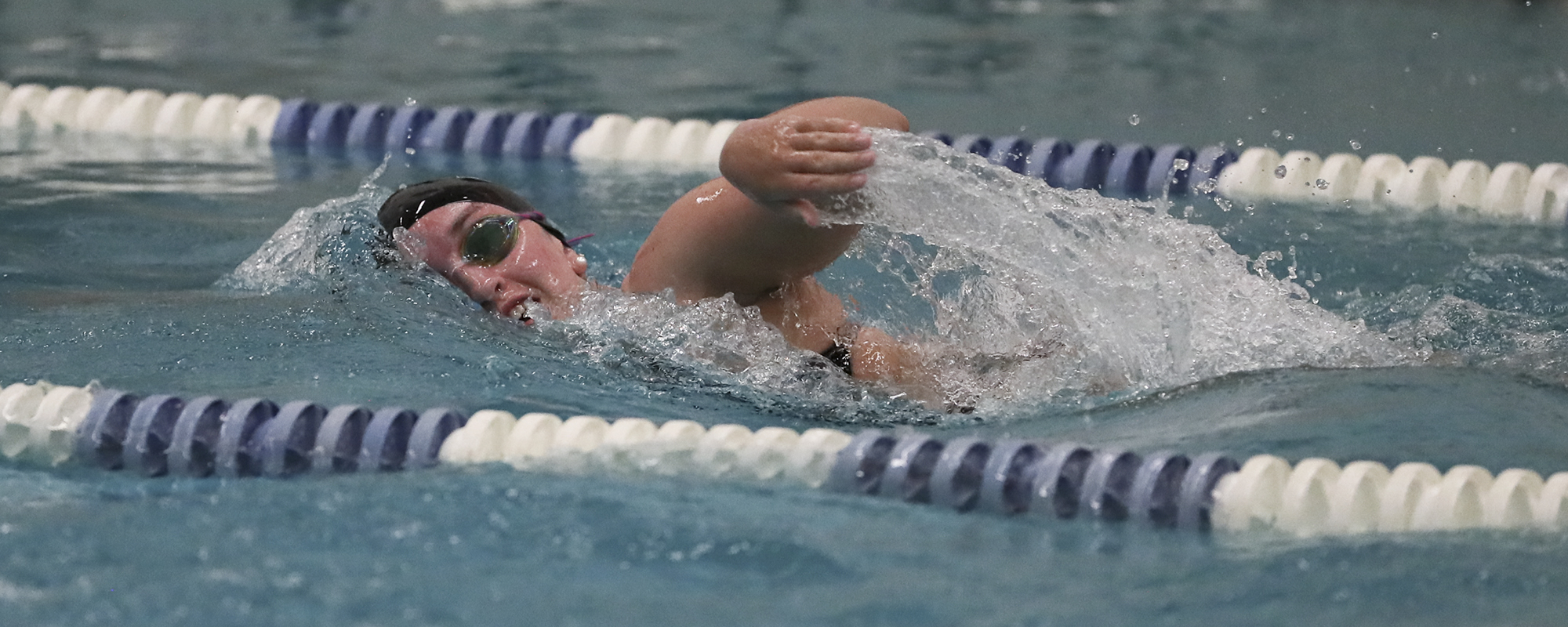 Emily Mink - 2020-21 - William Smith Swimming and Diving - Hobart and ...