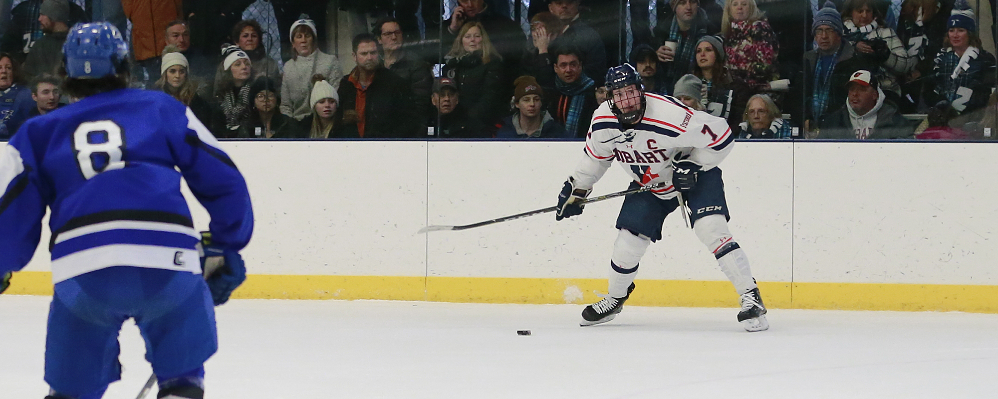 Tanner Shaw - 2018-19 - Hobart Ice Hockey - Hobart and William Smith ...