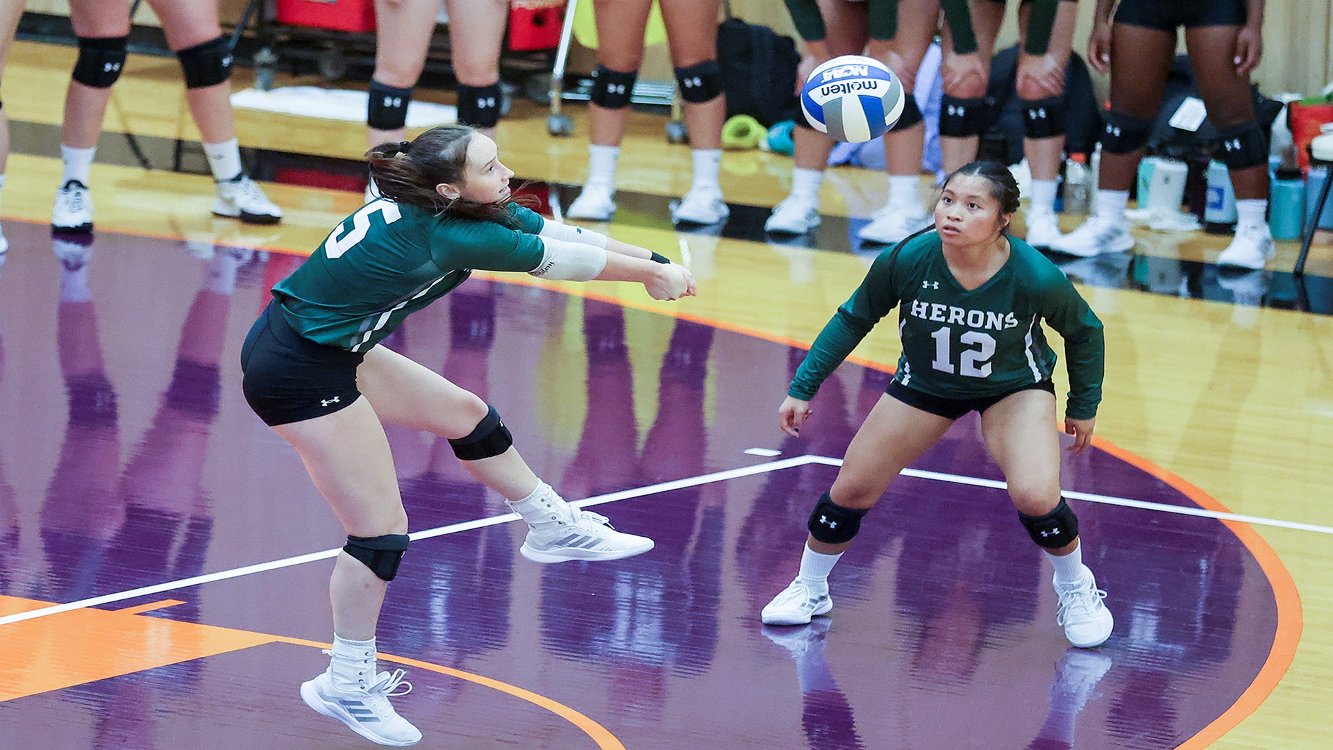 Paige Madison - 2023 - William Smith Volleyball - Hobart and William ...