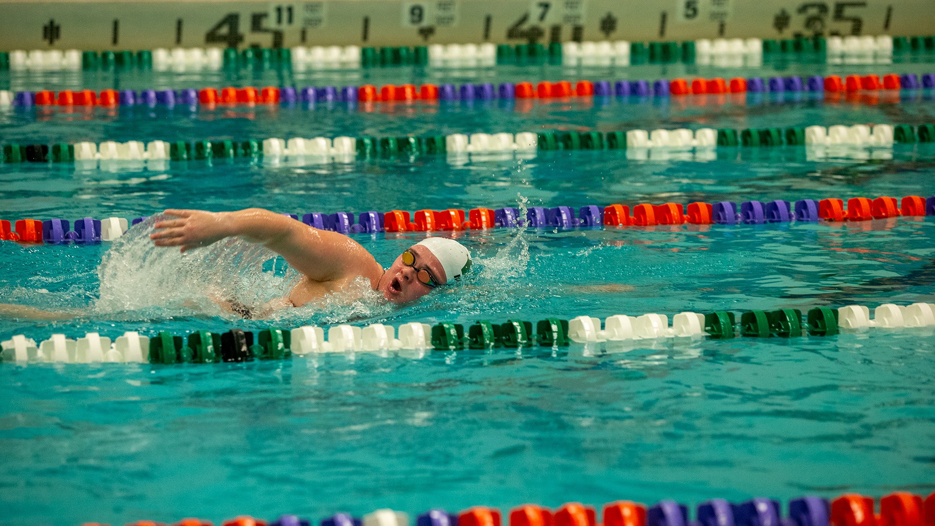 Mackenzie Morus - 2024-25 - William Smith Swimming and Diving - Hobart ...