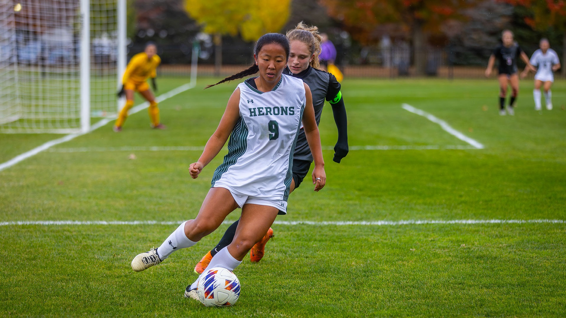 #11 Herons host Saints on Senior Day - Hobart and William Smith ...